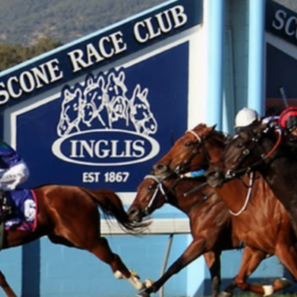 Tours and Event Transport | Port Bus Charters, Tours & Rentals